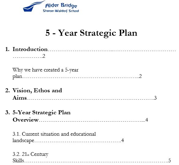 Printable 5 Year Plan Templates For Personal Career Business Word 