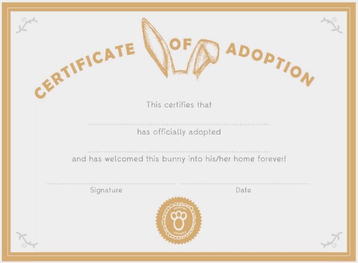 Rabbit Birth Certificate Template